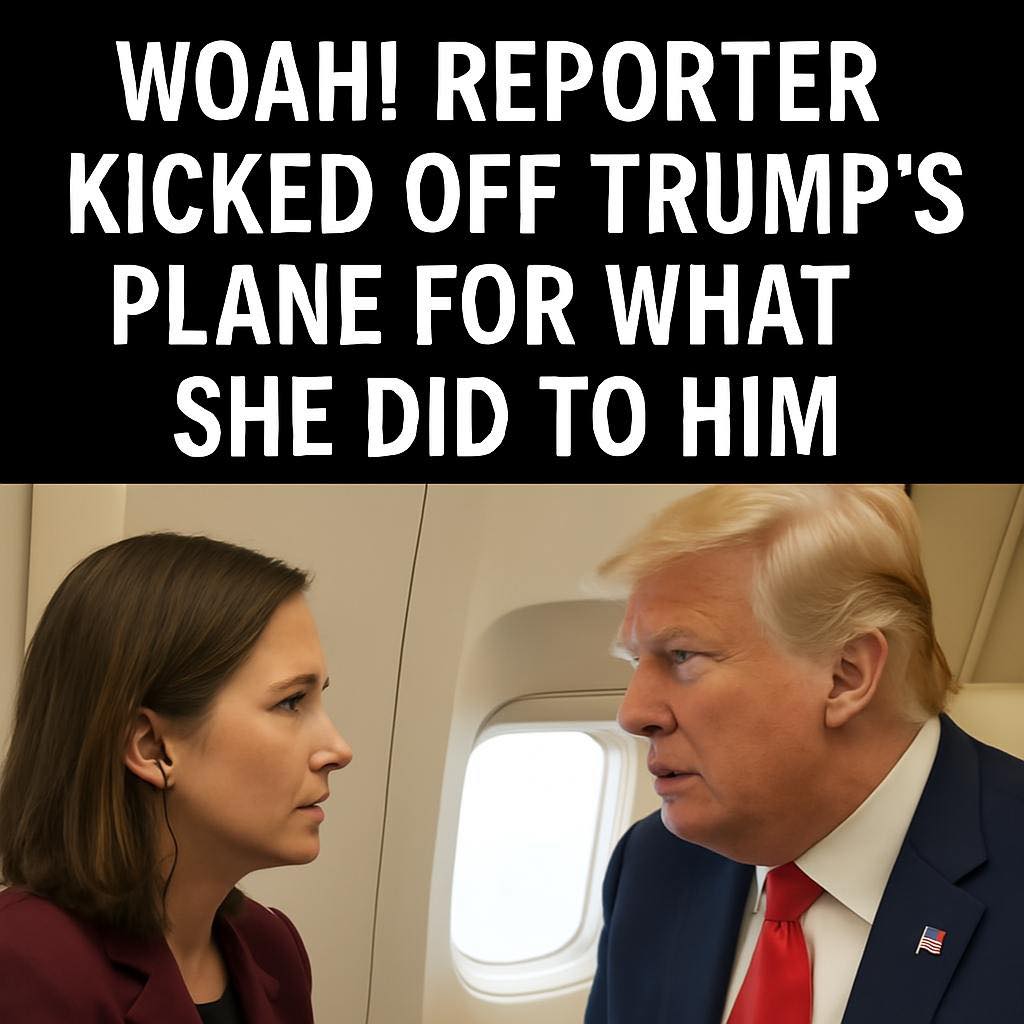 Female Interviewer Recounts Time She Was Booted Off Trump’s Plane ...