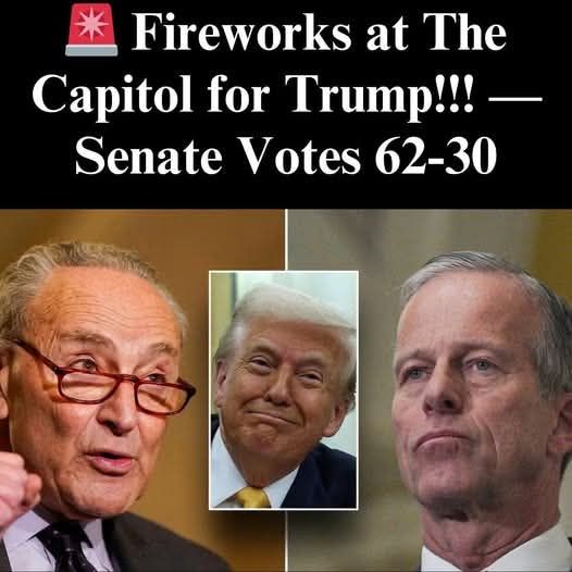 FIREWORKS AT THE CAPITOL FOR TRUMP - AmericanNews